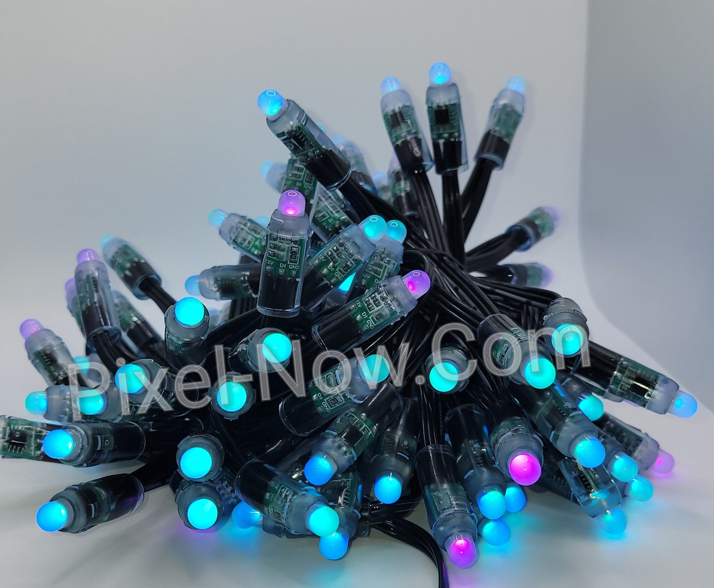 12V Bullet Pixels – Pixel Now